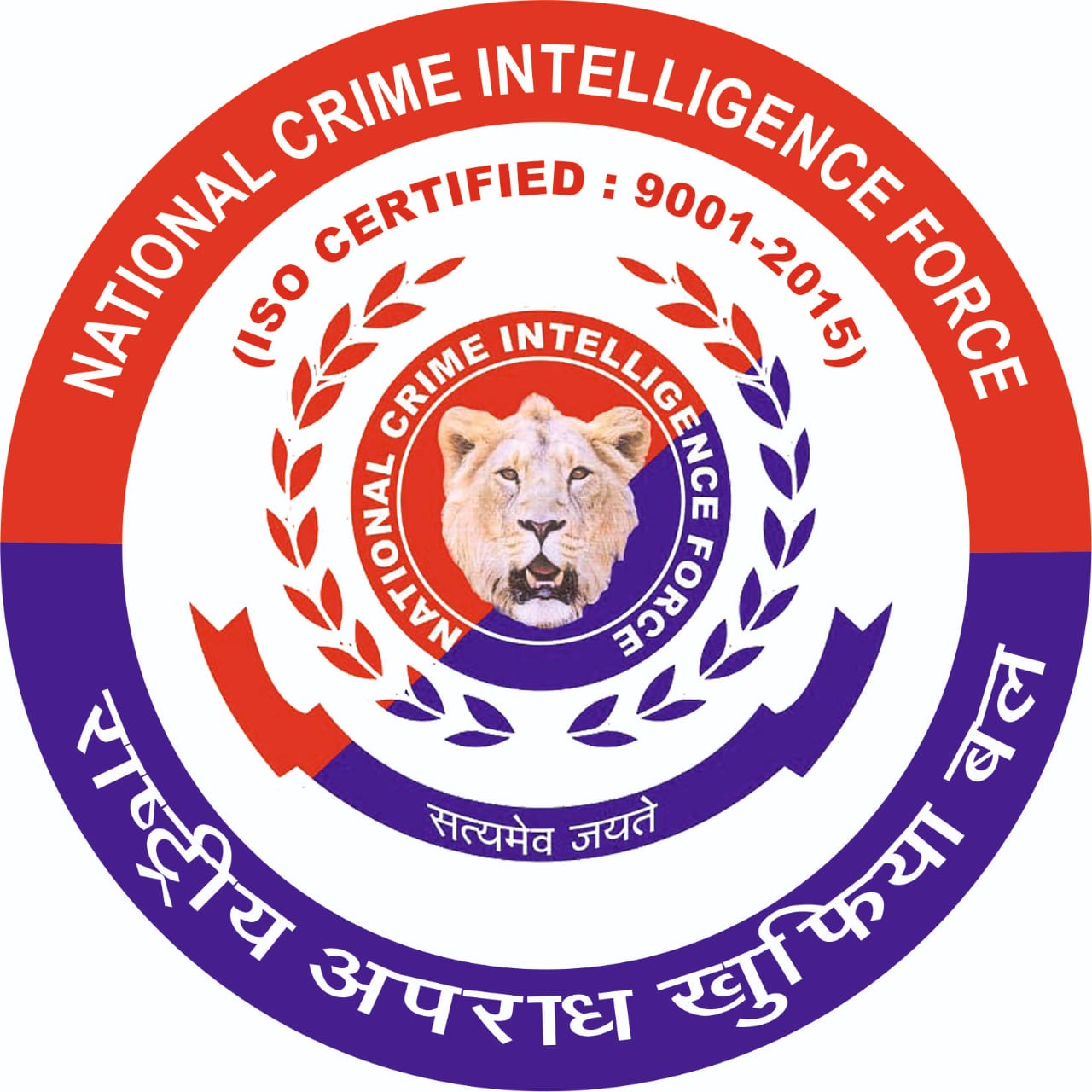 NATIONAL CRIME INTELLIGENCE FORCE