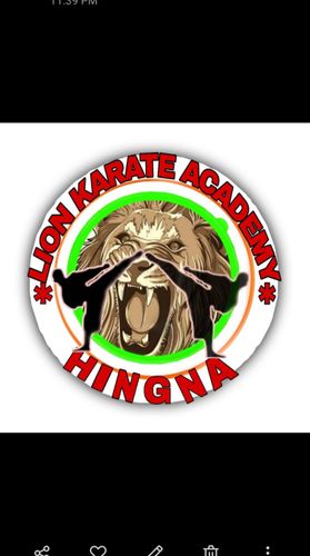 LION karate Academy Hingna