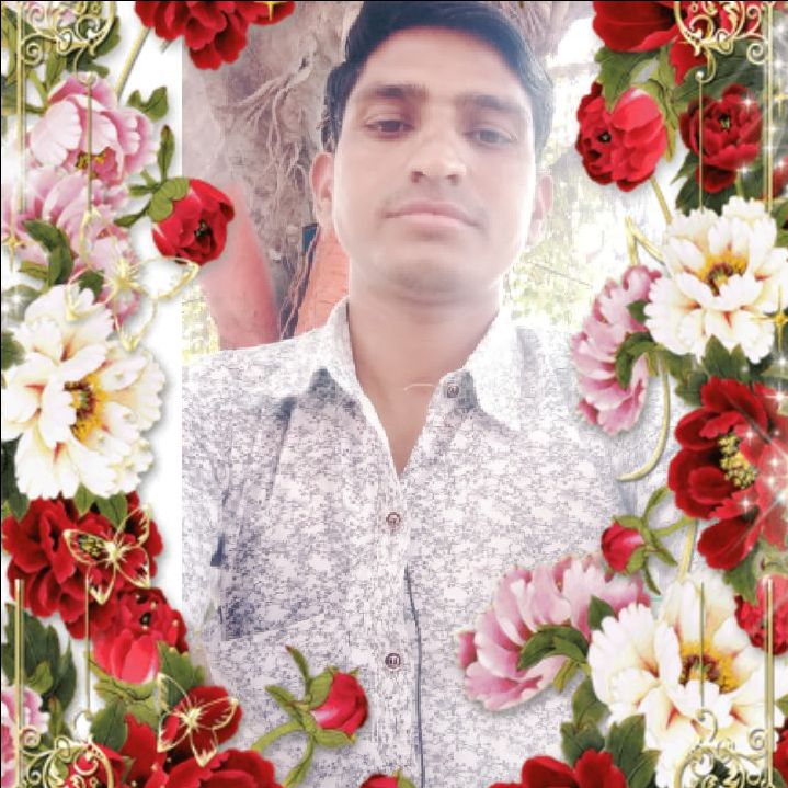 Vinod Kumar Kumar